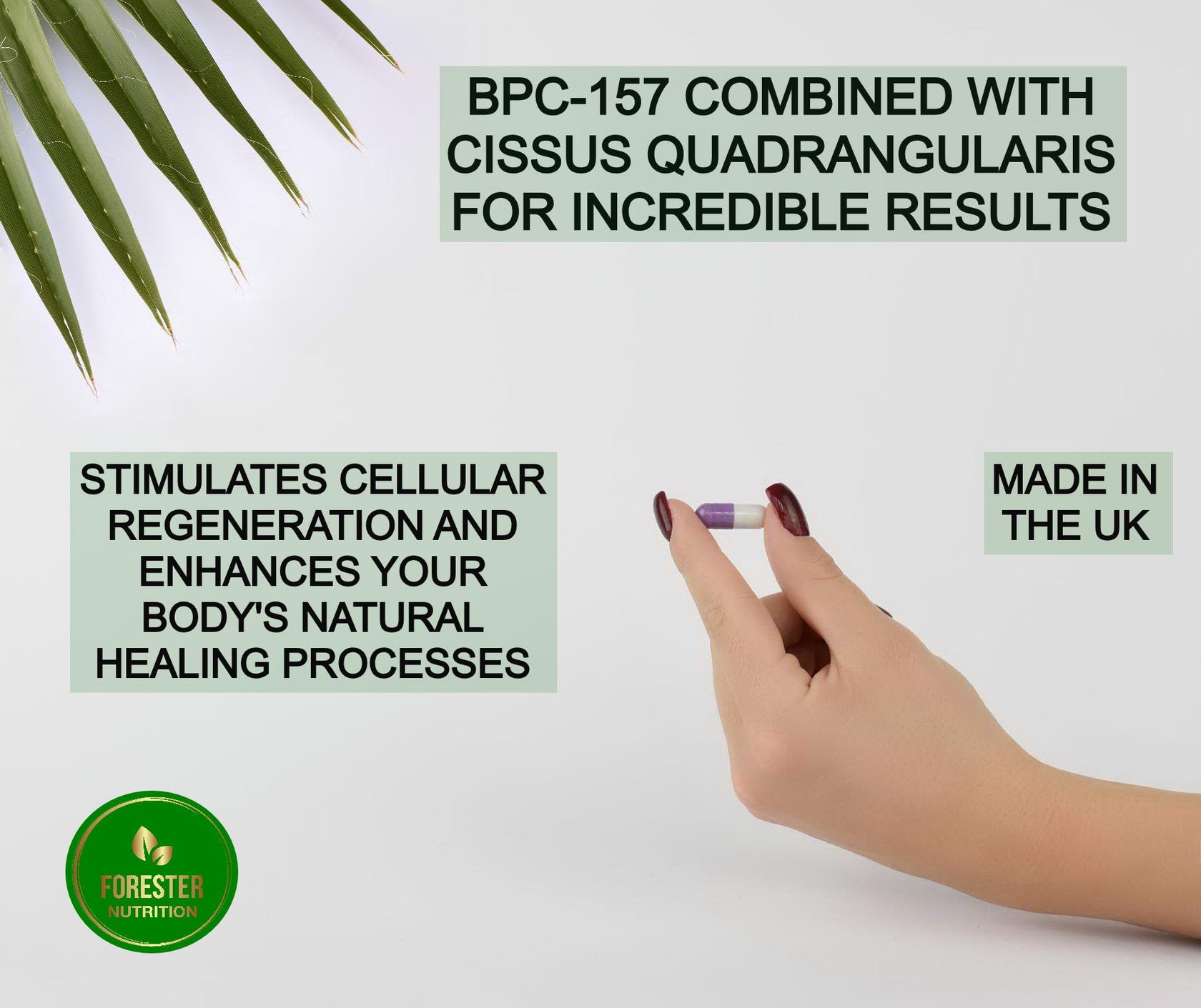 BPC-157 Ultra for Injury Recovery – Forester Nutrition