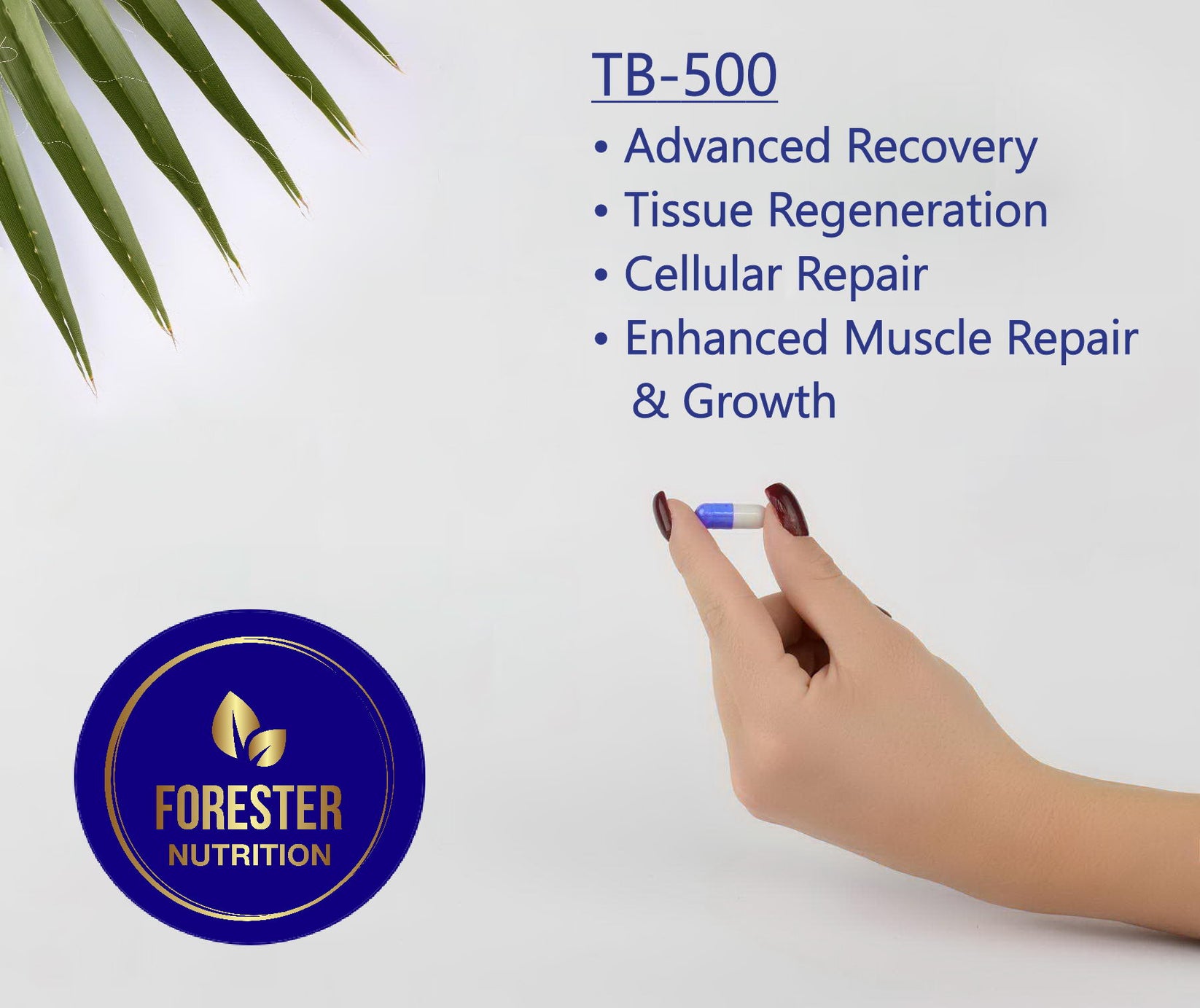 Wolverine Stack – Forester Nutrition